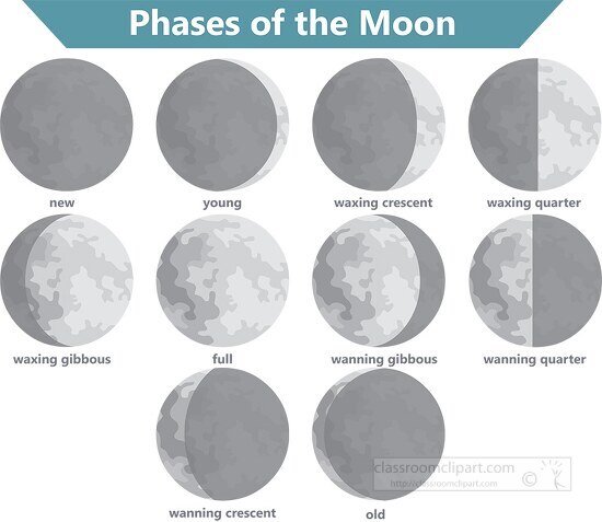 phases_of_the_moon_clipart - Classroom Clip Art