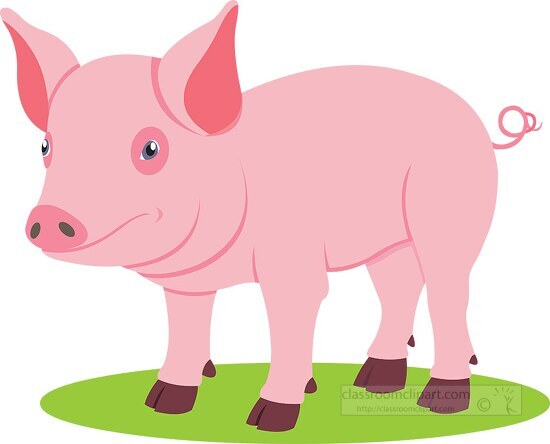 farm animal pig clipart - Classroom Clip Art