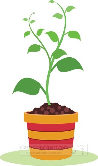 plant in pot gardening clipart - Classroom Clip Art