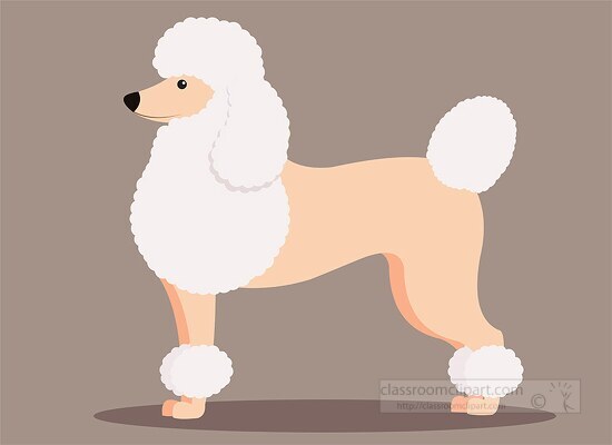 poodle dog sideview clipart - Classroom Clip Art