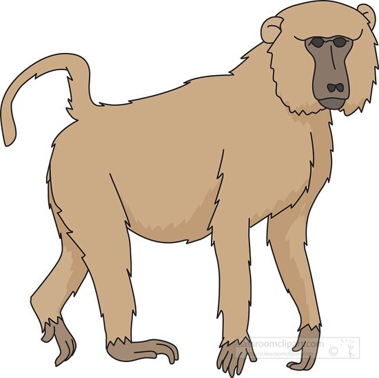 primage baboon clipart - Classroom Clip Art