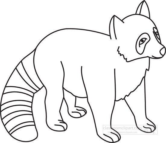 raccoon black white outline clipart - Classroom Clip Art