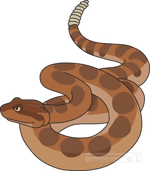 rattlesnake clipart - Classroom Clip Art
