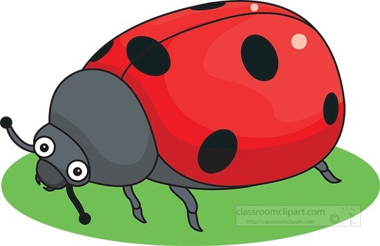 red black lady bug clipart - Classroom Clipart