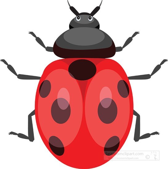 red black ladybug clipart 718 - Classroom Clipart