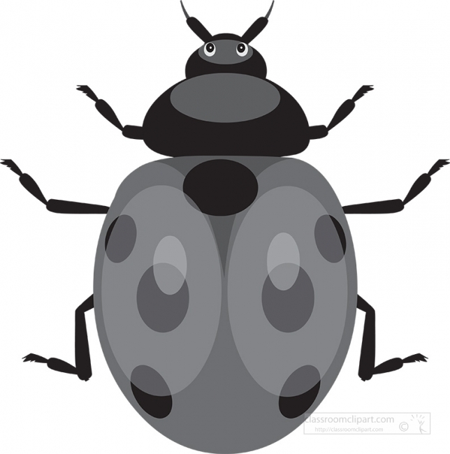 Free red black ladybug gray clipart - Classroom Clipart