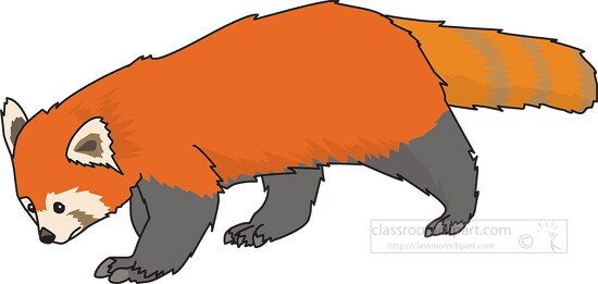 Panda Clipart-red panda with long tail black outline clipart