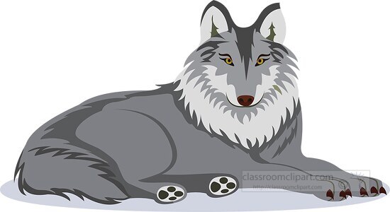 relaxing gray wolf clipart - Classroom Clip Art