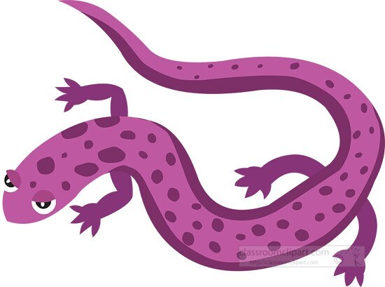 salamander amphibian clipart - Classroom Clip Art