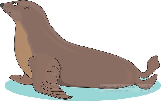 Free seal marine mammal clipart - Classroom Clipart