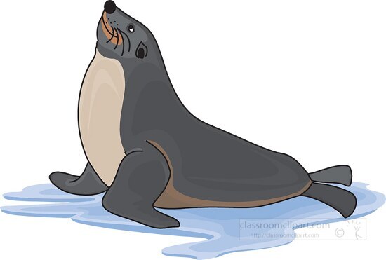 seal sitting in water clipart - Classroom Clip Art