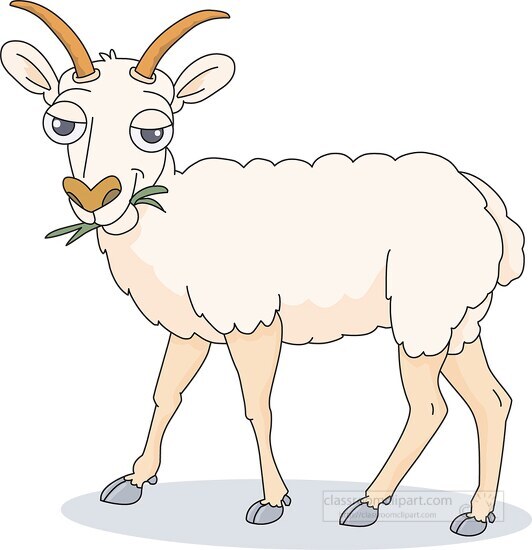 sheep eating grass in mouth - Classroom Clip Art
