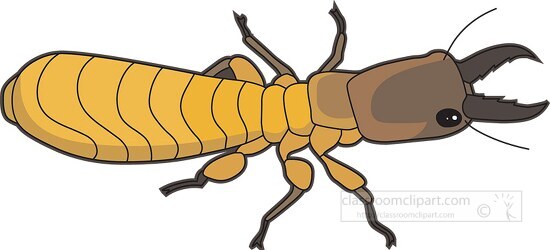 single termite clipart - Classroom Clipart