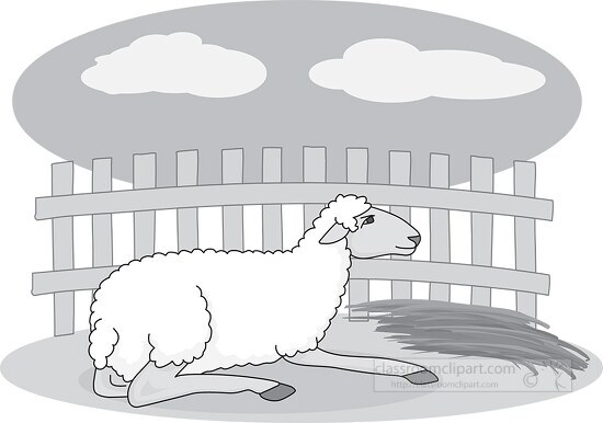 sheep in farm near fence - Classroom Clip Art