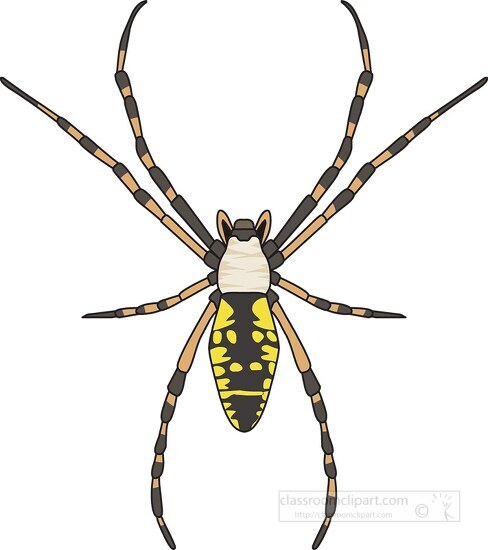 spiders golden garden - Classroom Clip Art