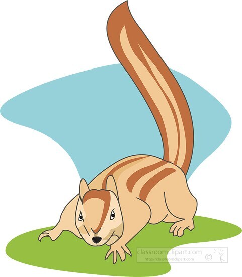 squirrel eating clipart - Classroom Clip Art