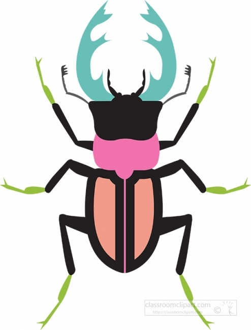 Free stag beetle insect gray color clipart - Classroom Clipart