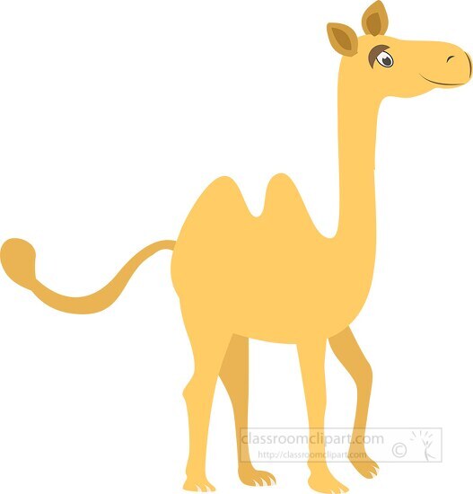 standing cartoon style camel vector clipart - Classroom Clip Art