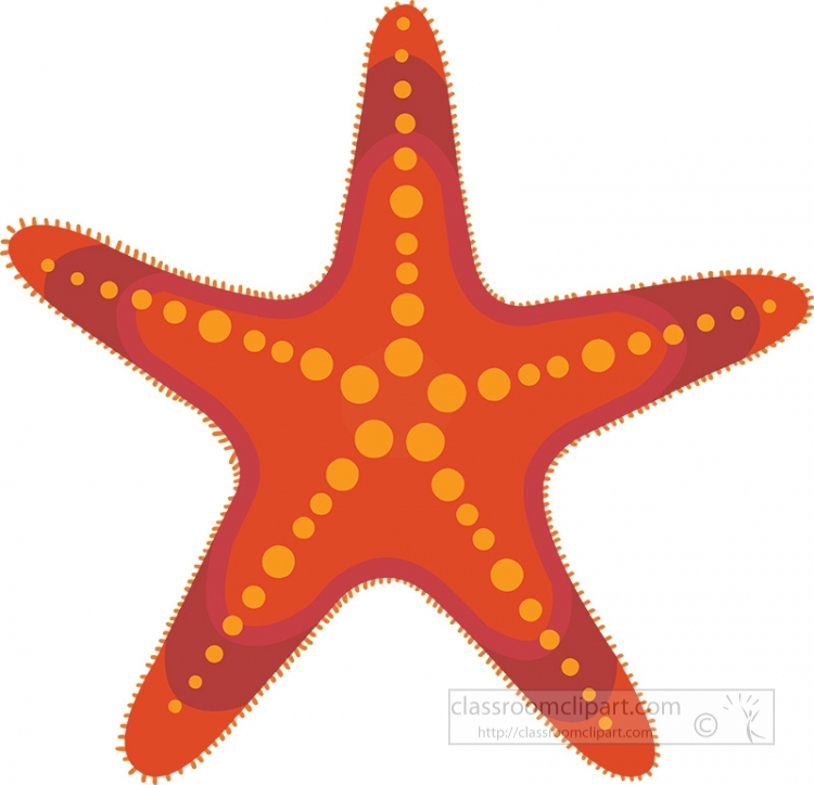 starfish marine animal clipart - Classroom Clipart