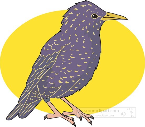 starling bird clipart - Classroom Clip Art