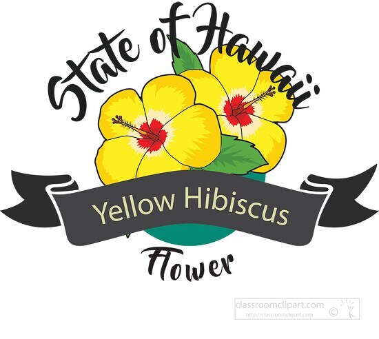 state flower of hawaii yellow hibiscus clipart image - Classroom Clip Art