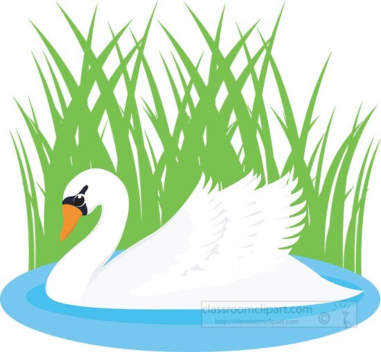 swan bird in lake clipart - Classroom Clip Art
