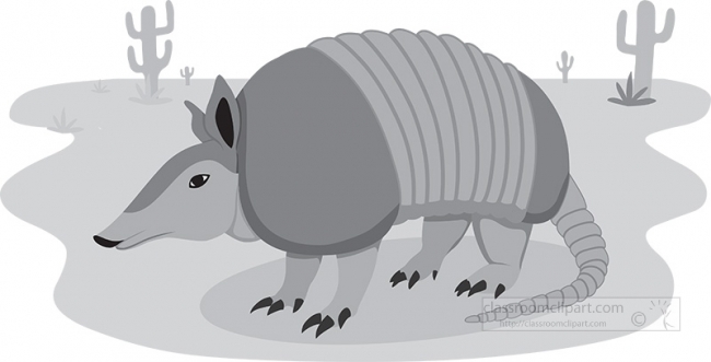 texas armadillo with background of cactus and sand gray color ...