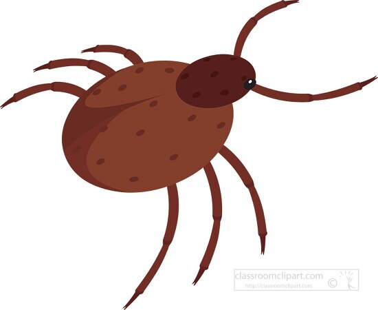 tick insect clipart - Classroom Clipart