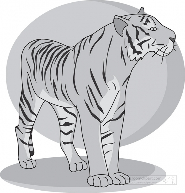tiger grayscale clipart 3 - Classroom Clip Art