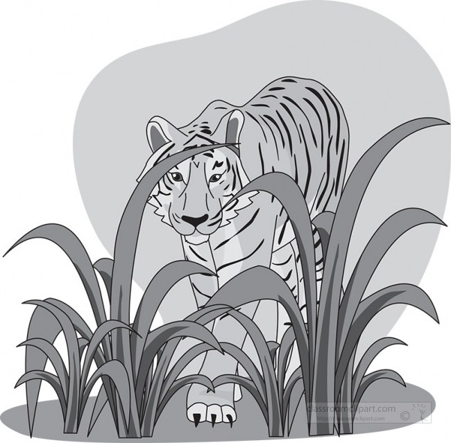 tiger grayscale clipart 5 - Classroom Clip Art