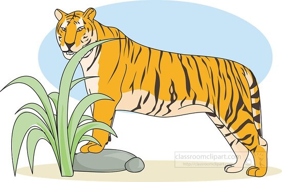 tiger resting front legs on rock with plants clipart32805 copy ...