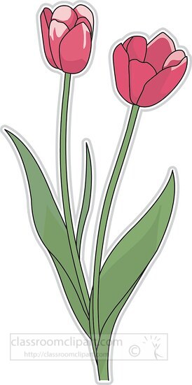 two pink tulip flower clipart - Classroom Clip Art