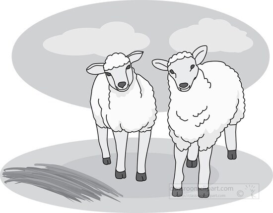 sheep in farm near fence - Classroom Clip Art