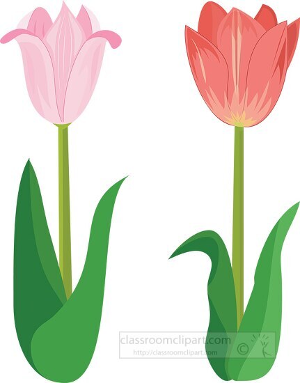 Flower Clipart-bunch of pink flowers tied with ribbon clipart