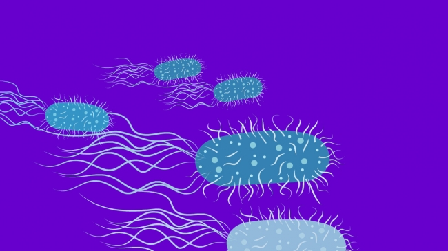 various virus animated clipart - Classroom Clip Art