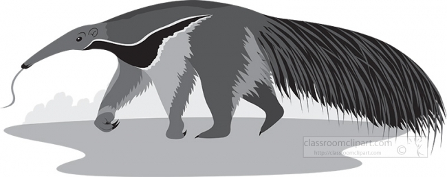 Animal Gray White Clipart-walking anteater animal gray color
