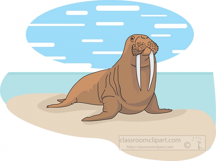 walru resting on the beach clipart - Classroom Clip Art