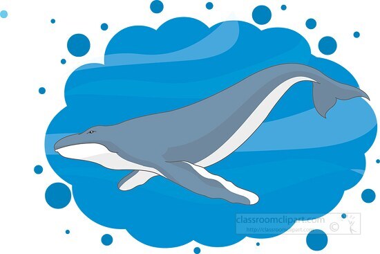 whale swimming in water vector clipart - Classroom Clipart