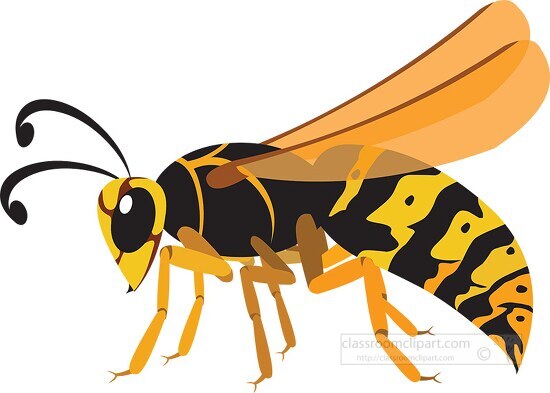 yellow black wasp insect clipart - Classroom Clip Art