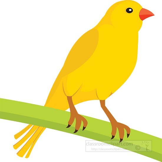 Bird Clipart - yellow canary bird clipart