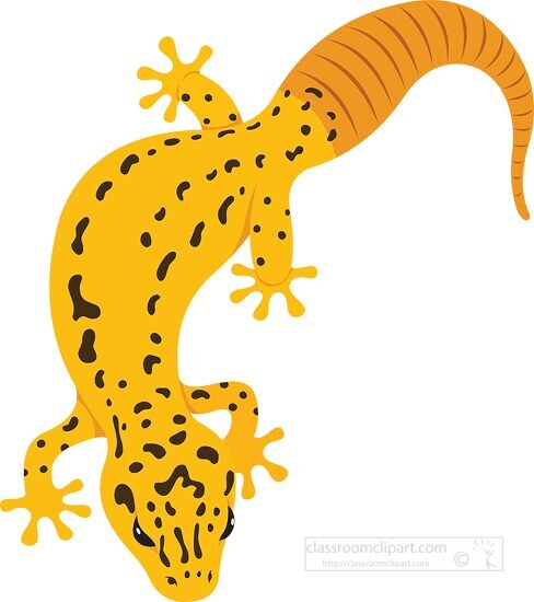 yellow gecko lizard reptile educational clip art graphic - Classroom ...