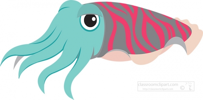 Animal Gray White Clipart-yellow orange cuttlefish mollusc gray color ...