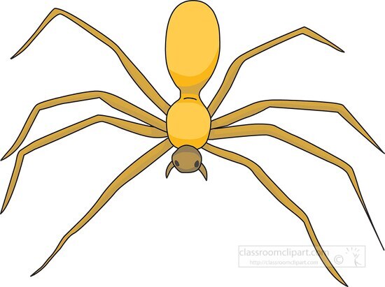jumping spider clipart - Classroom Clip Art