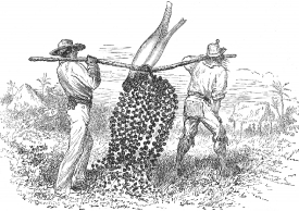 Classroom Clip Art - palm