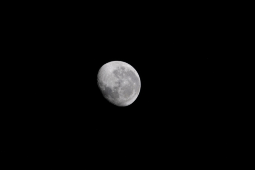 Moon - a waning gibbous moon 50 years after the apollo 11 lunar landing