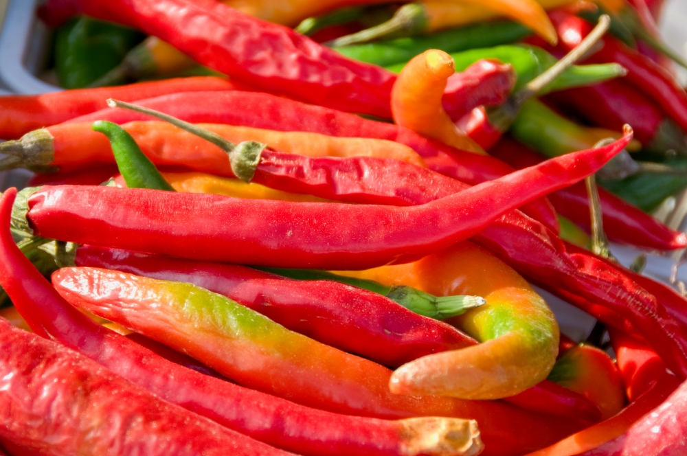 brightl red color long peppers - Classroom Clip Art