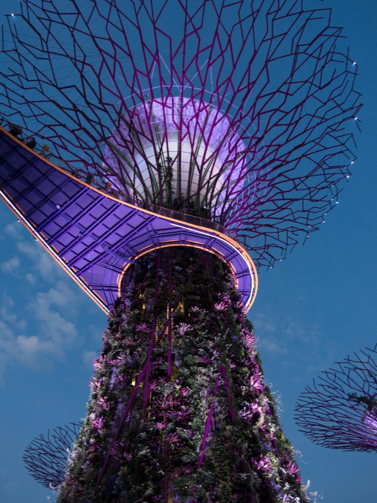 Closeup Supergroove trees at the light show - Classroom Clip Art