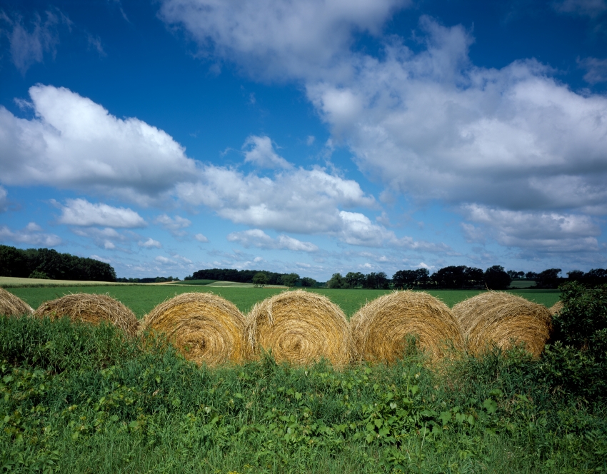 Iowa hay rolls - Classroom Clip Art