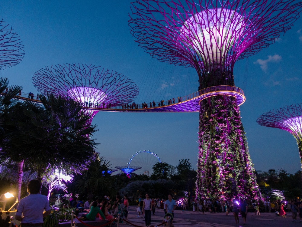 People at Supergroove trees at the light show of Gardens by the ...