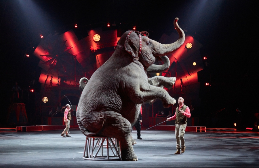 Ringling Brothers and Barnum Bailey Circus Fairfax Virginia - Classroom ...